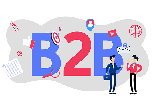 Custom B2B Web Development Solutions